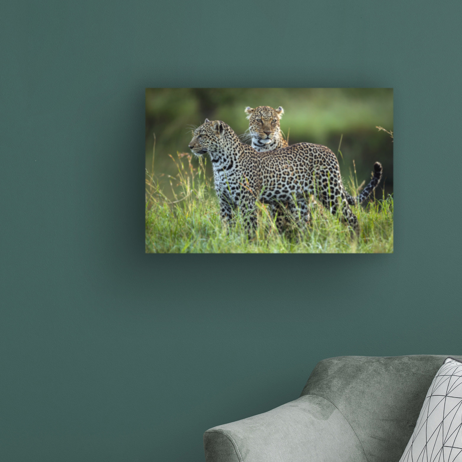 Ebern Designs Leopard Family by Roshkumar - Wrapped Canvas Photograph Print | Wayfair